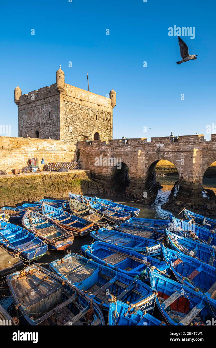 Morocco, Marrakech Safi, Essaouira, traditional fishing harbour, Sqala ...