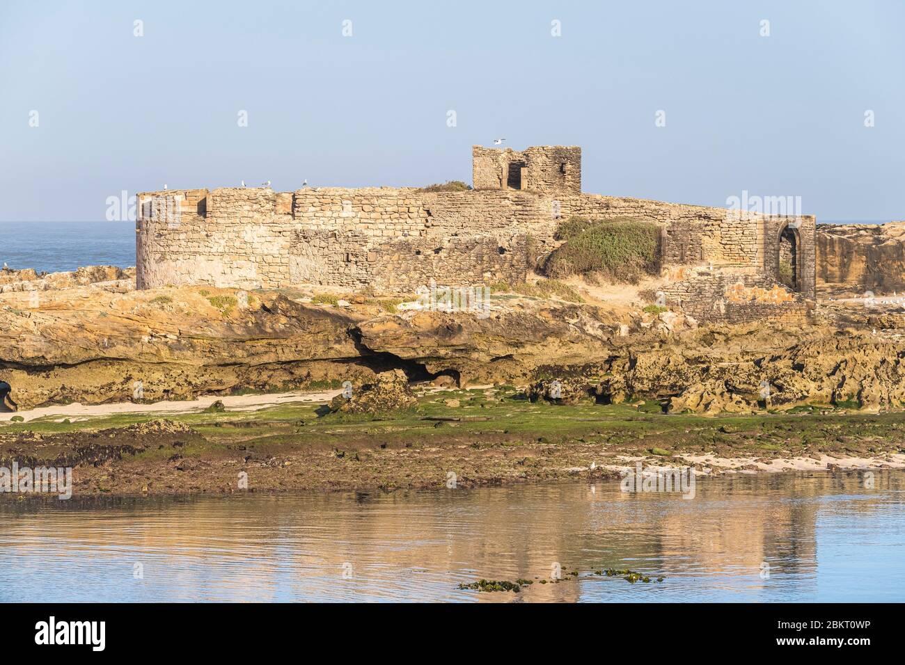 Morocco, Marrakech Safi, Essaouira, Purpuraires islands, Pharaon island ...