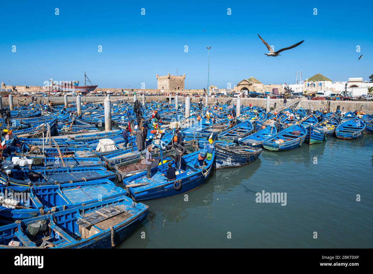 Morocco, Marrakech Safi, Essaouira, traditional fishing harbour, Sqala ...