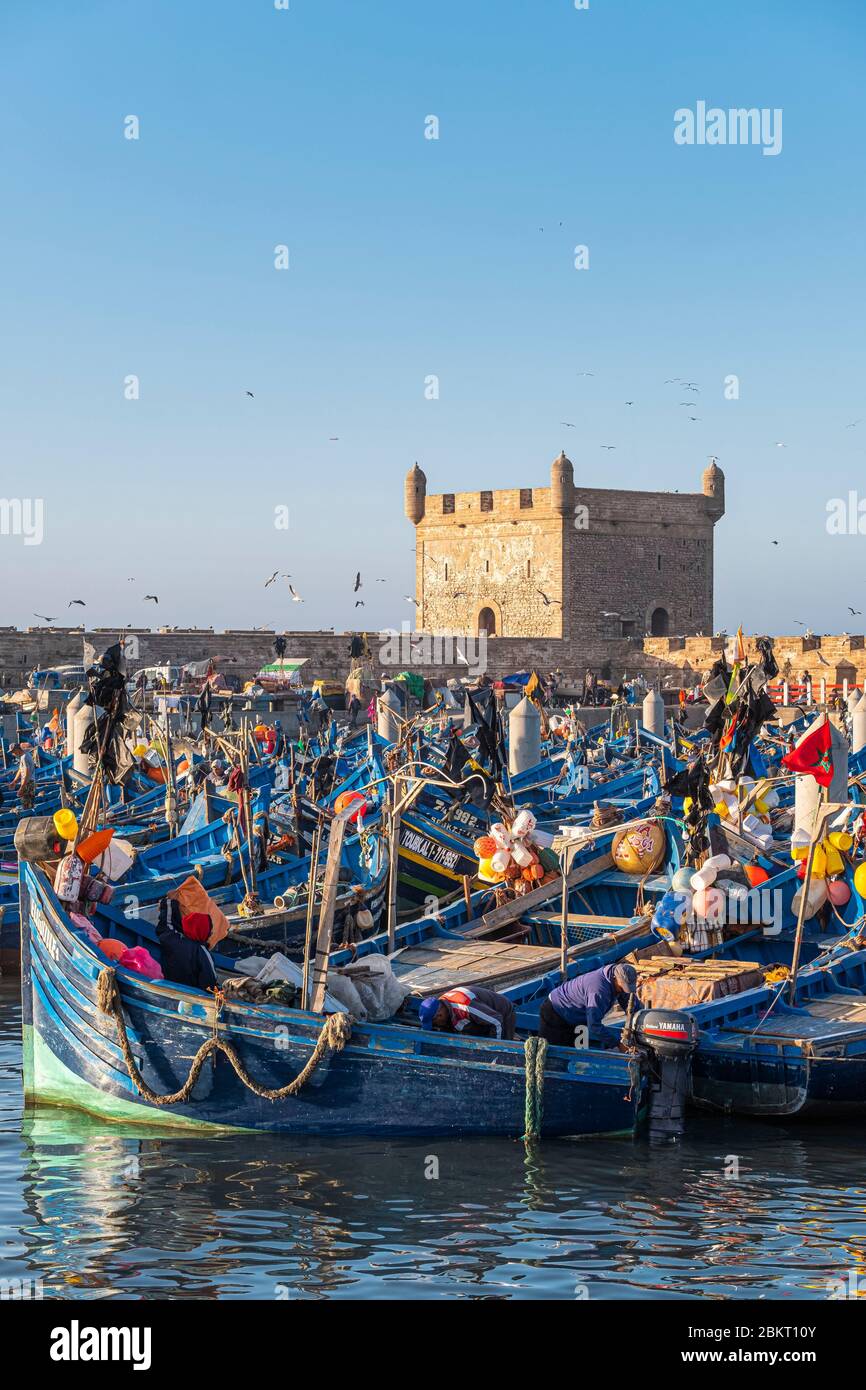 Morocco, Marrakech Safi, Essaouira, traditional fishing harbour, Sqala ...