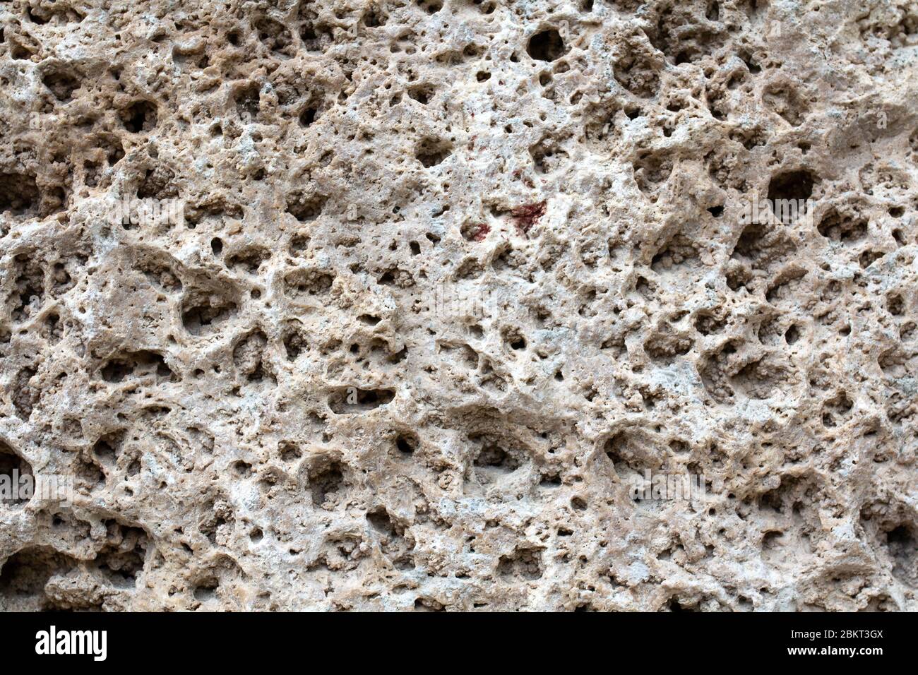 Sawn Armenian tuff, travertine. The porous surface of the stone with ...