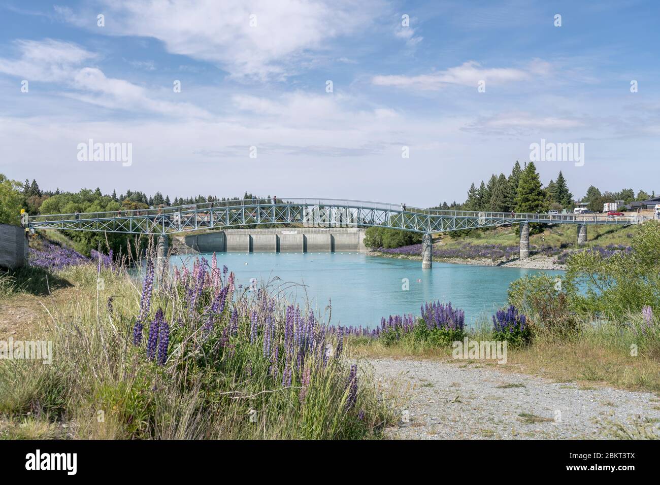 TEKAPO LAKE, NEW ZEALAND - December 02 2019: landscape with tourists on ...