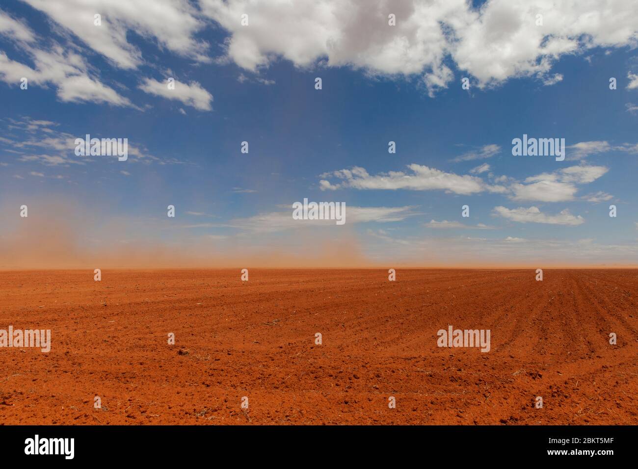 Farmland, Free State South Africa. Orange Dust cloud caused by dry ...