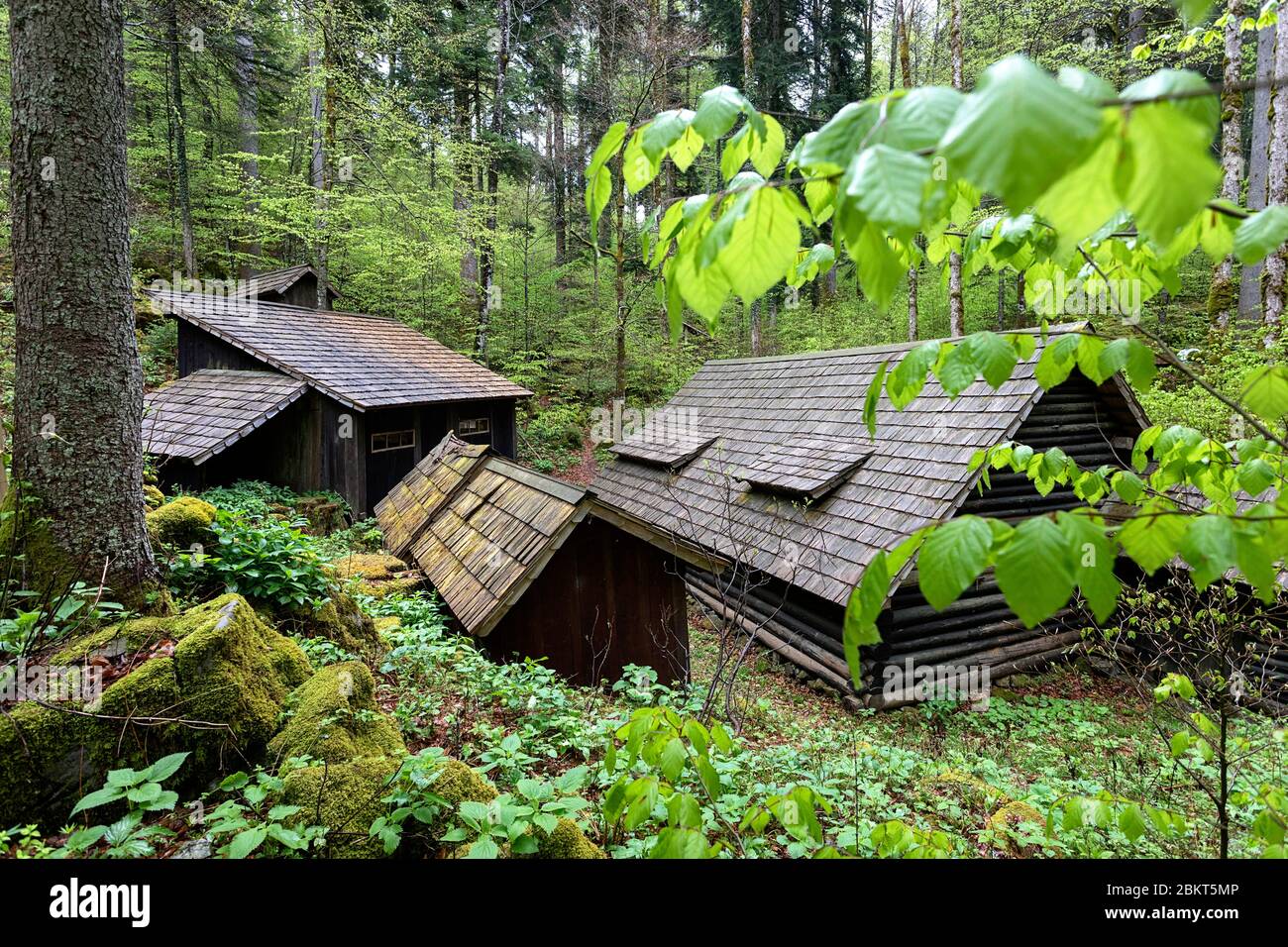 huts of the WW2-era Jelendol Partisan Hospital, World war II secret ...
