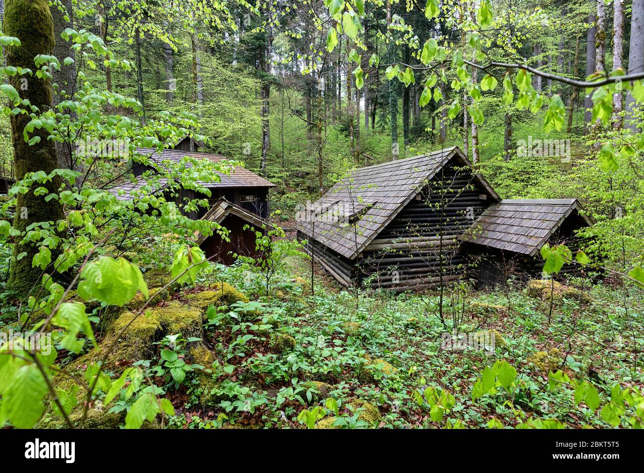 huts of the WW2-era Jelendol Partisan Hospital, World war II secret ...