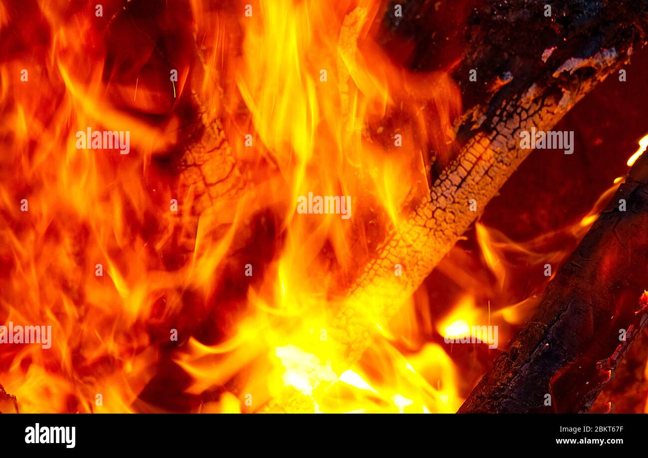 fire flame close up on black background. Burning fire of Bonfire close ...