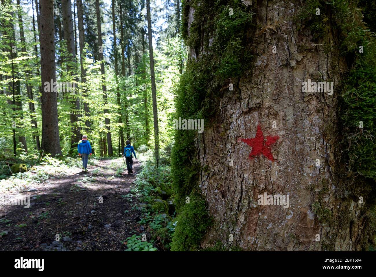 Ww2 partisan hi-res stock photography and images - Alamy