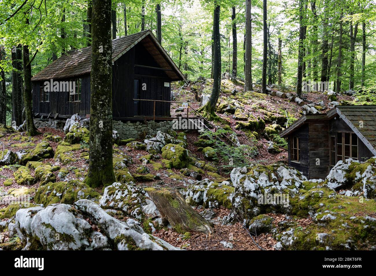 Partisan basis camp 20, Baza 20, secret IIWW headquarter of resistance ...