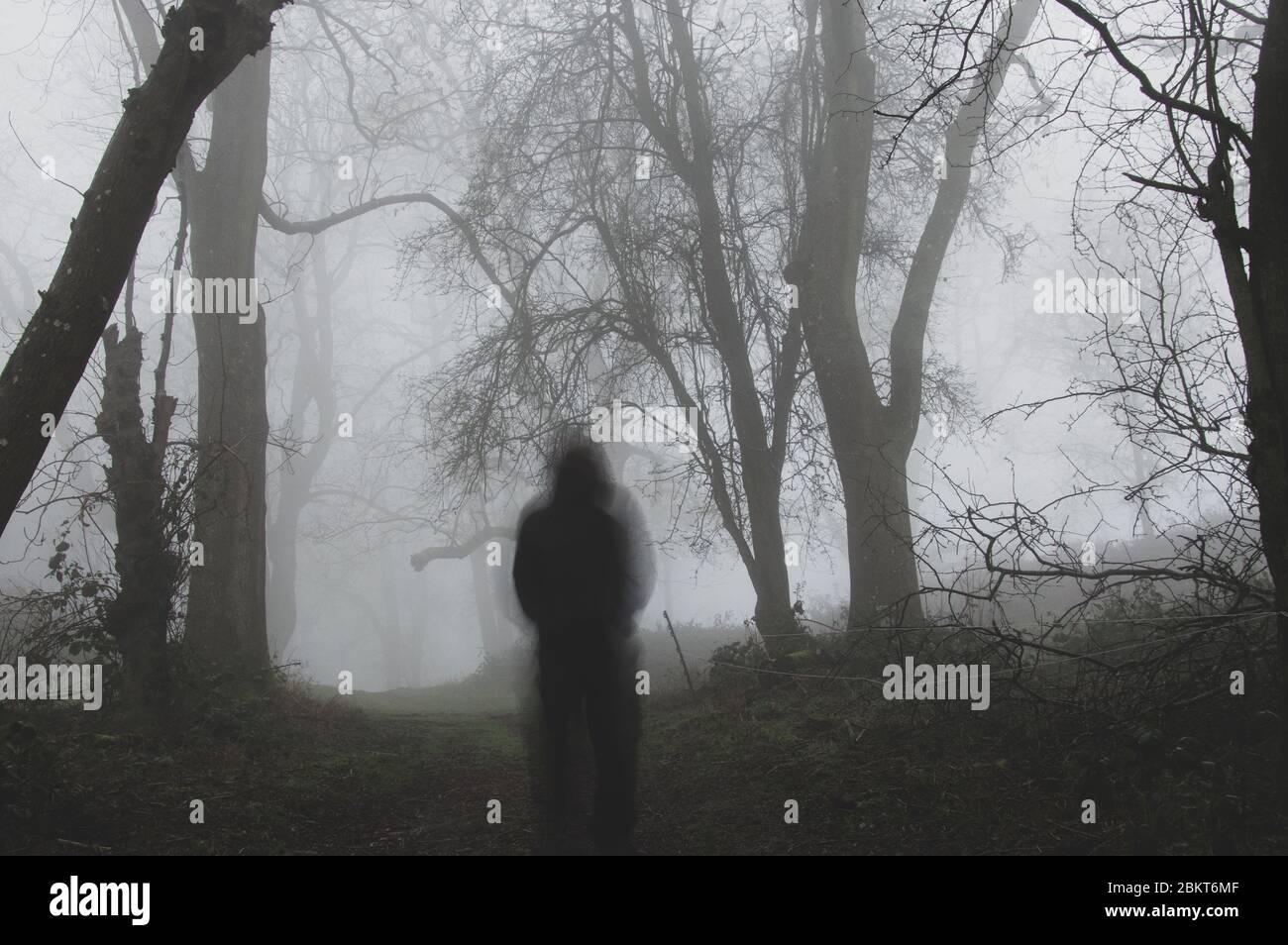A ghostly blurred figure standing in a forest on a foggy winters day ...