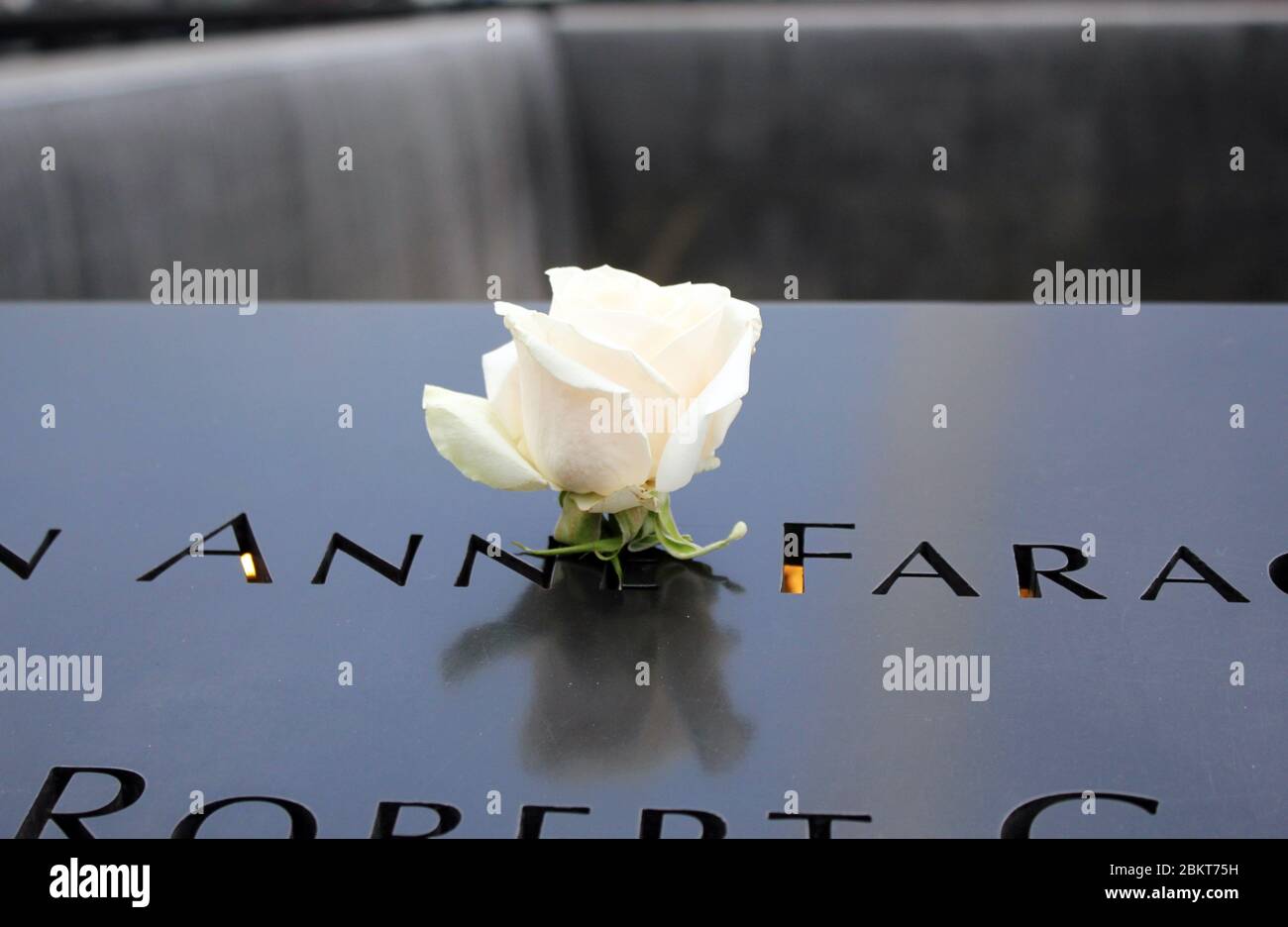 911 memorial roses hi-res stock photography and images - Alamy