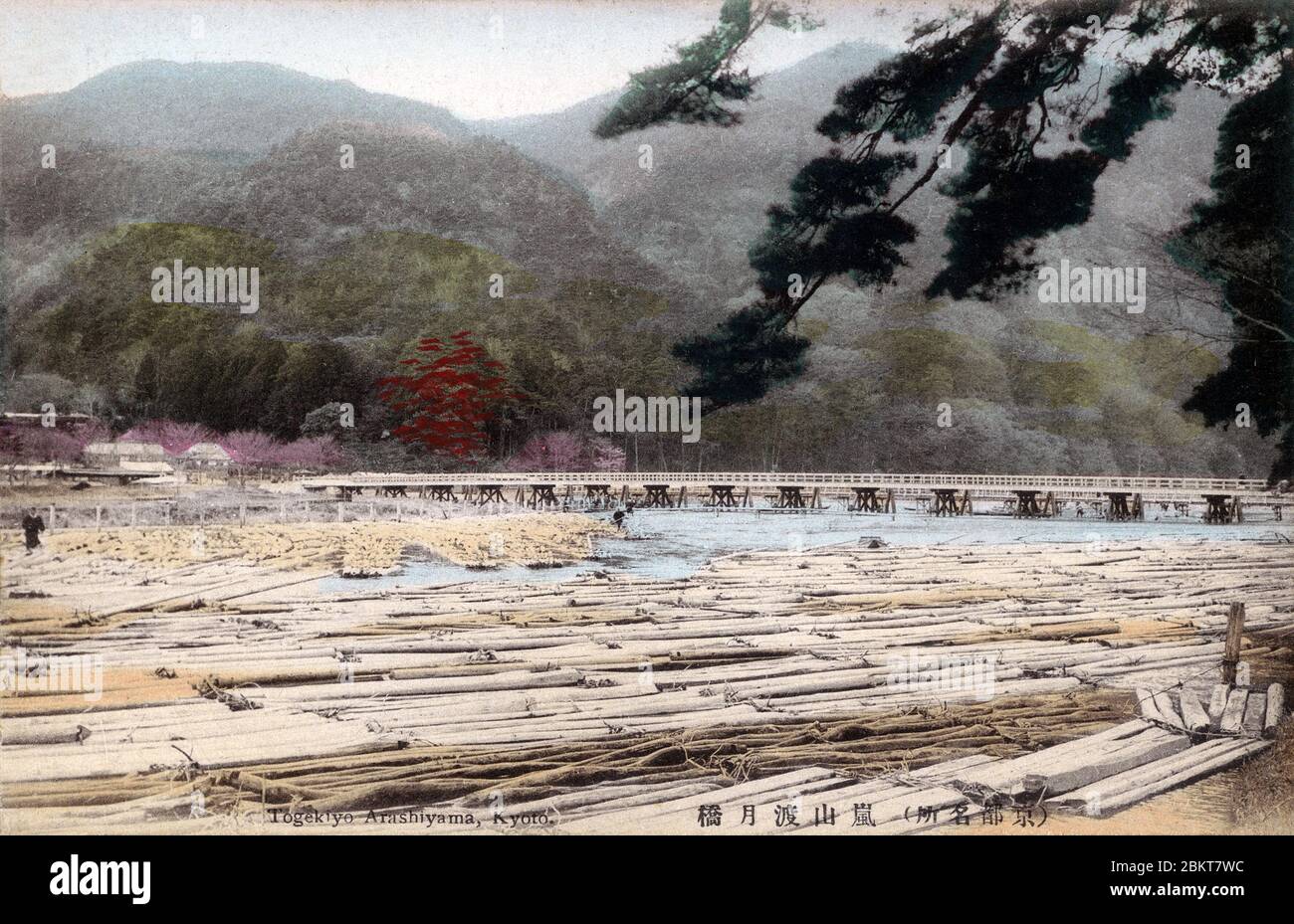 [ 1900s Japan - Logs in Hozugawa River, Kyoto ] — Logs floating in the ...