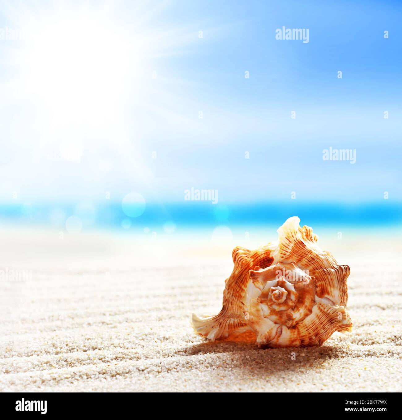 Copy space landscape marine coastline hi-res stock photography and ...