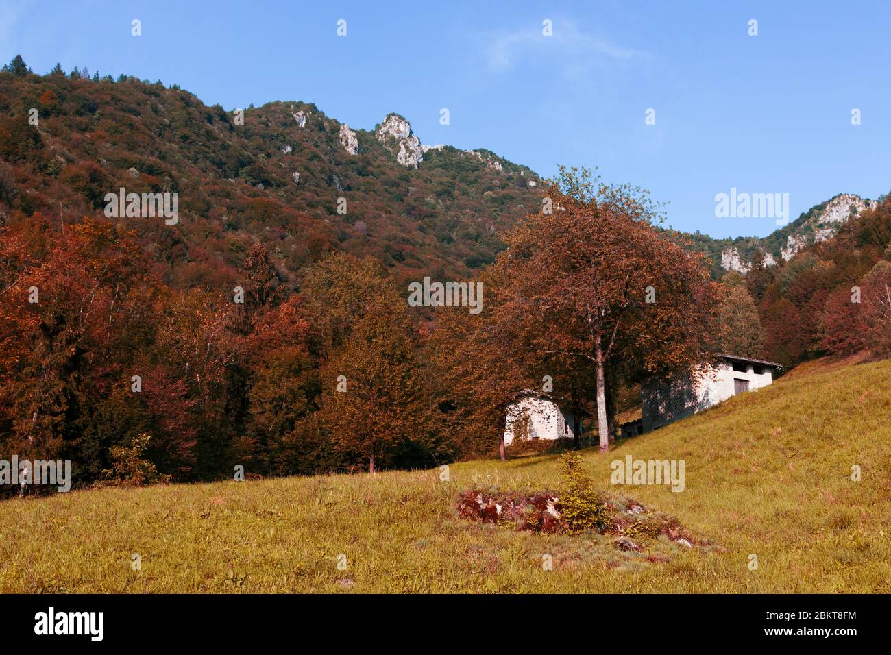 Alpine nature with the colors of autumn Stock Photo - Alamy