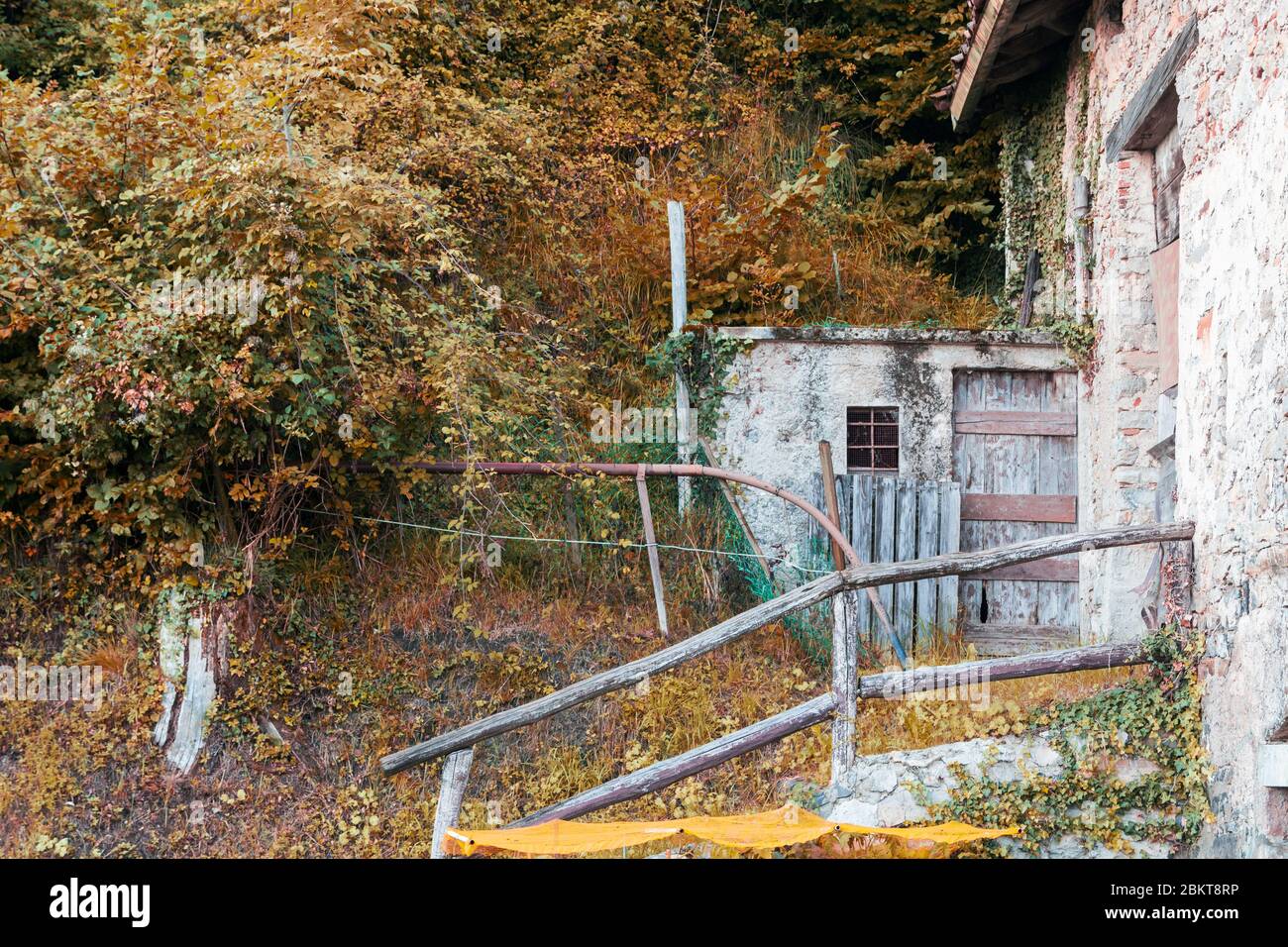 Alpine nature with the colors of autumn Stock Photo - Alamy