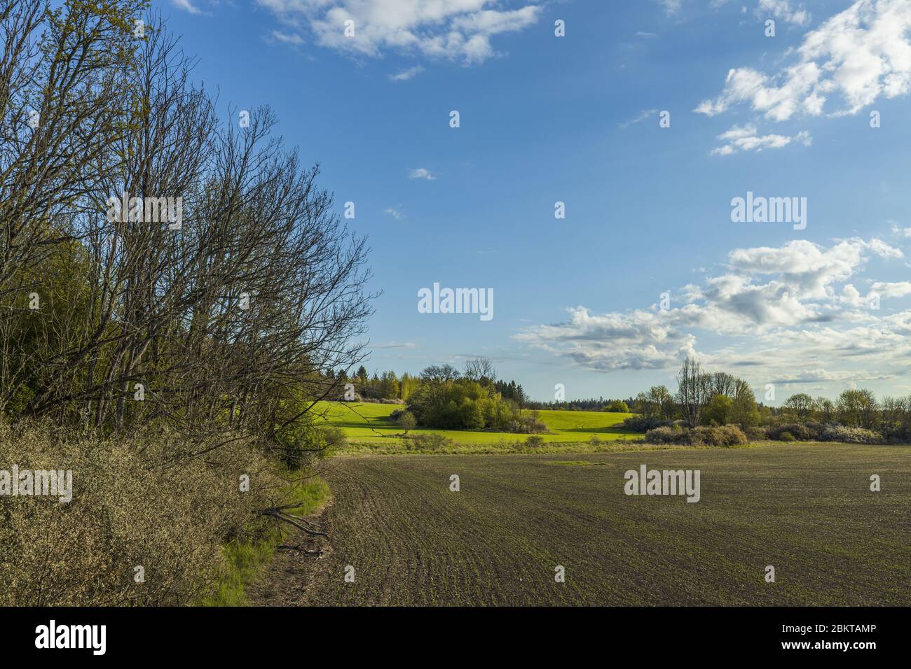 Gorgeous landscape fields forest trees hi-res stock photography and ...