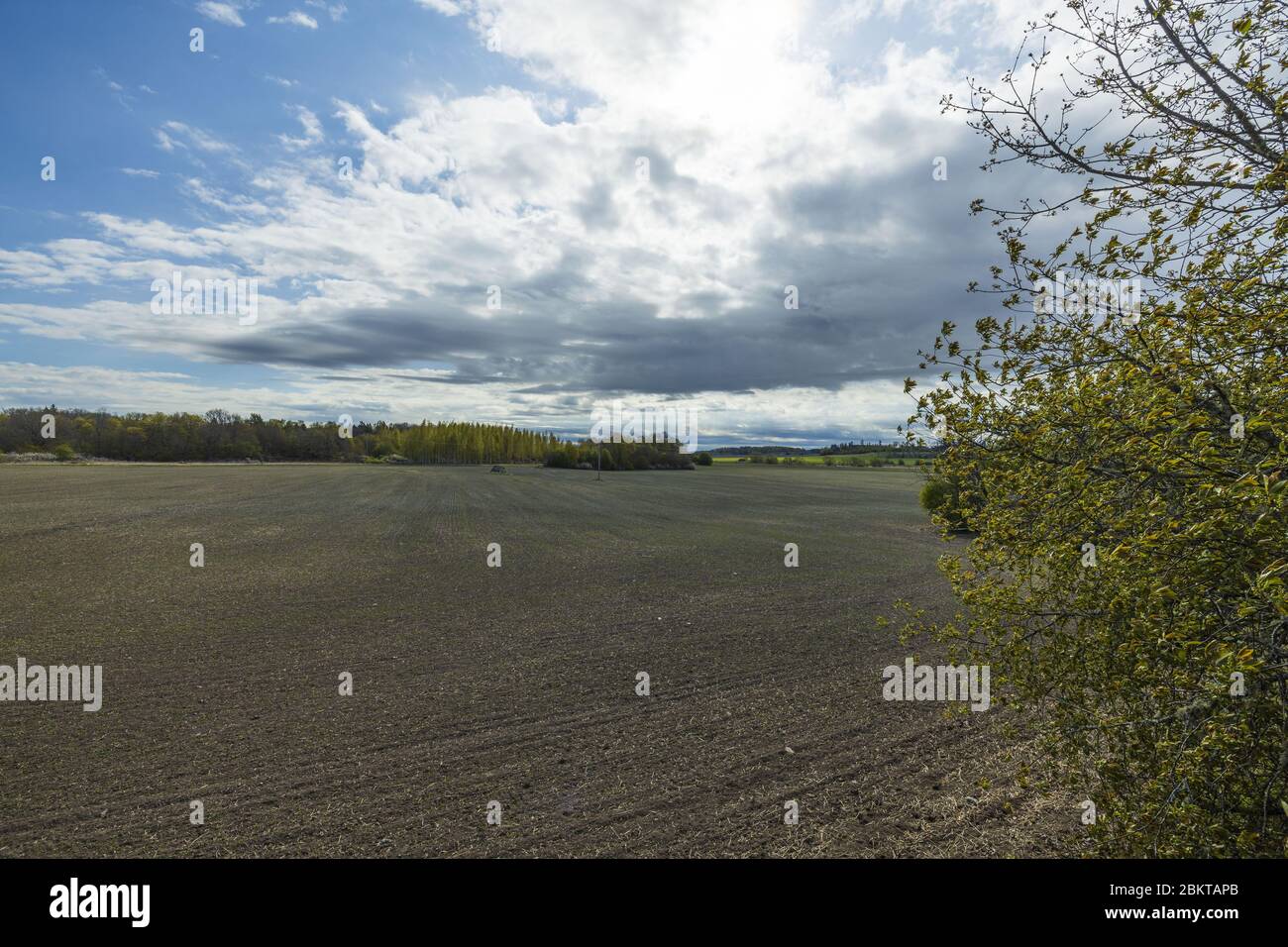 Gorgeous landscape fields forest trees hi-res stock photography and ...
