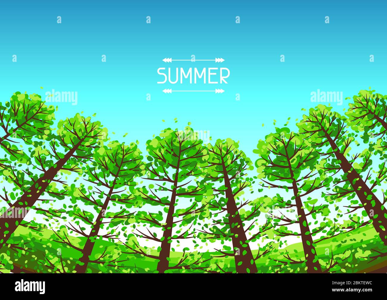 Summer forest background with stylized trees Stock Vector Image & Art ...