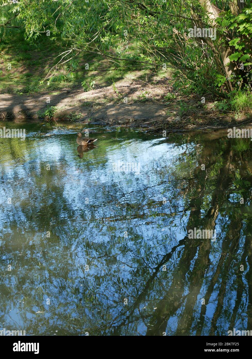 The River Pool between Lower Sydenham and Catford, South East London ...