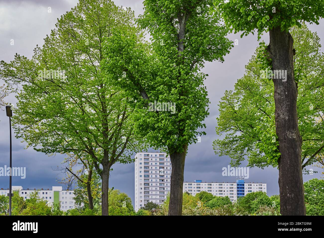 Skyscrapers in Berlin, Germany, behind street trees framed by gloomy ...