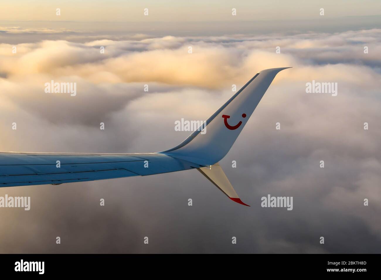 Tui wing hi-res stock photography and images - Alamy