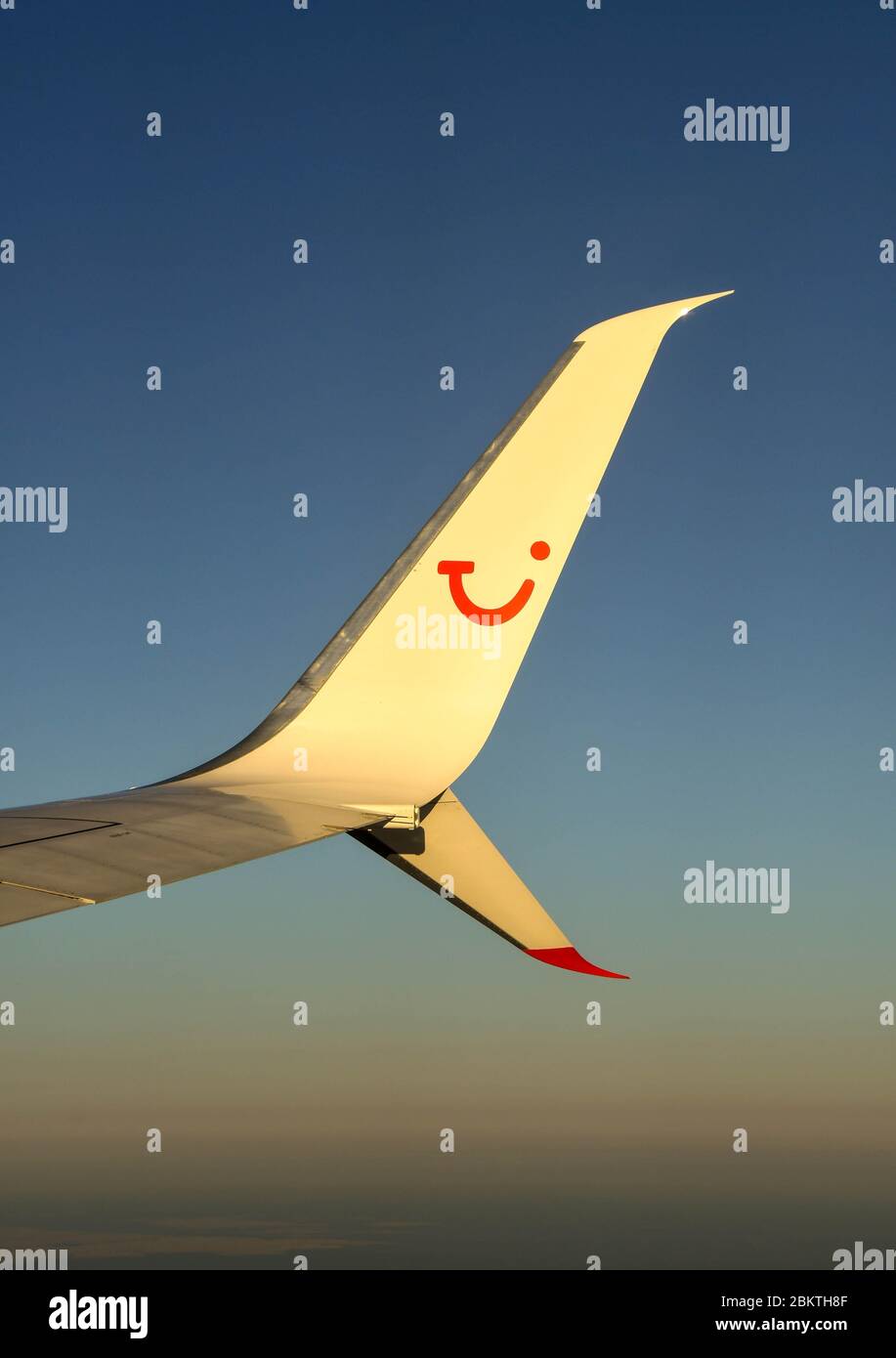 Tui wing hi-res stock photography and images - Alamy