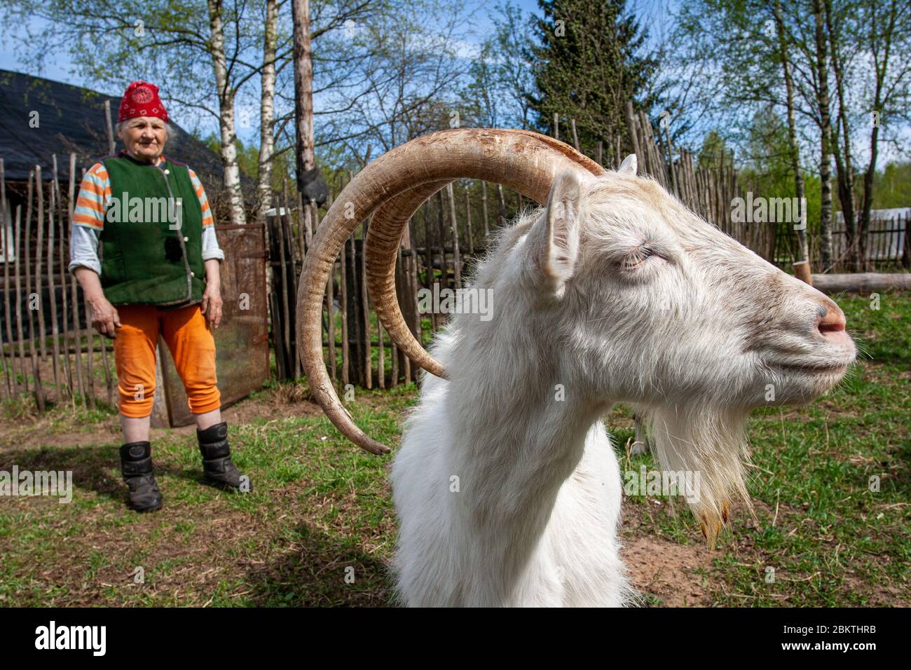 Woman Riding Goat High Resolution Stock Photography and Images - Alamy