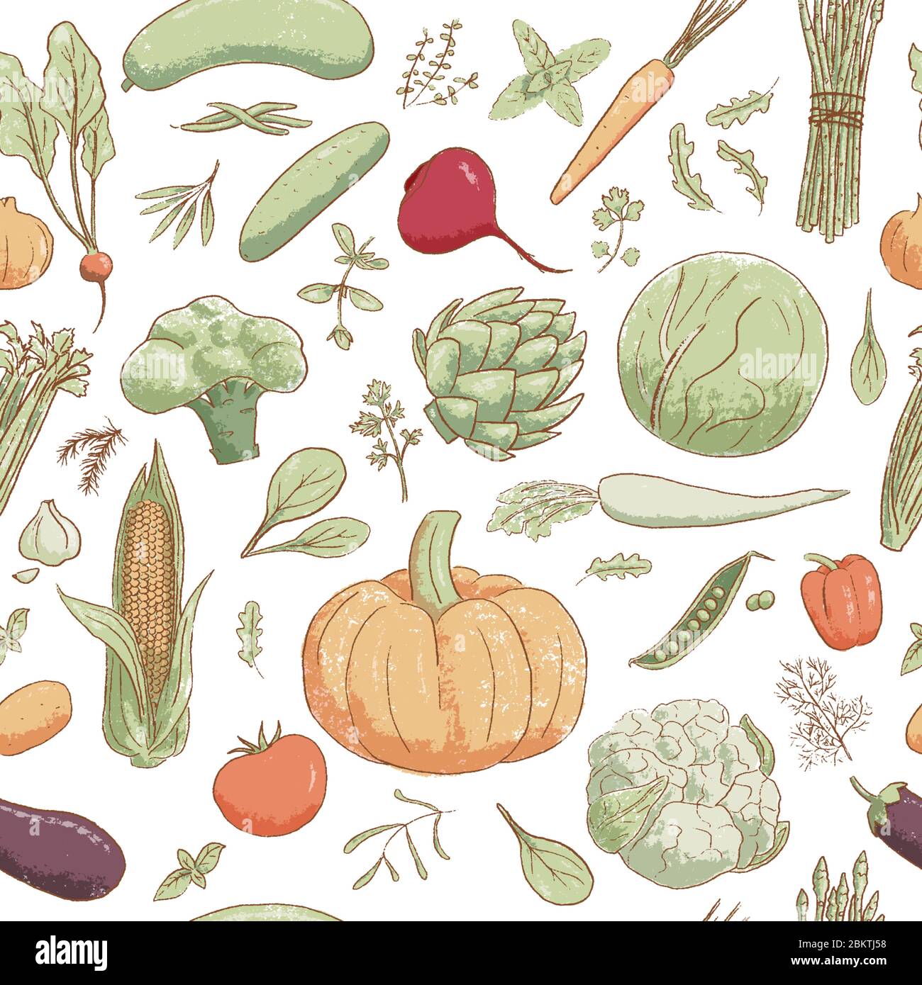 Hand-drawn popular cartoon vintage style vegetables and coolinary herbs ...