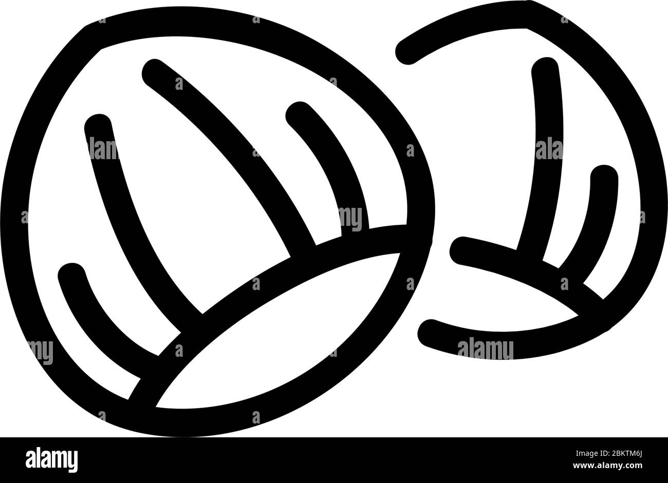 hazel kernels icon vector outline illustration Stock Vector Image & Art ...