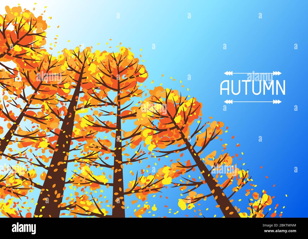Autumn forest background with stylized trees Stock Vector Image & Art ...