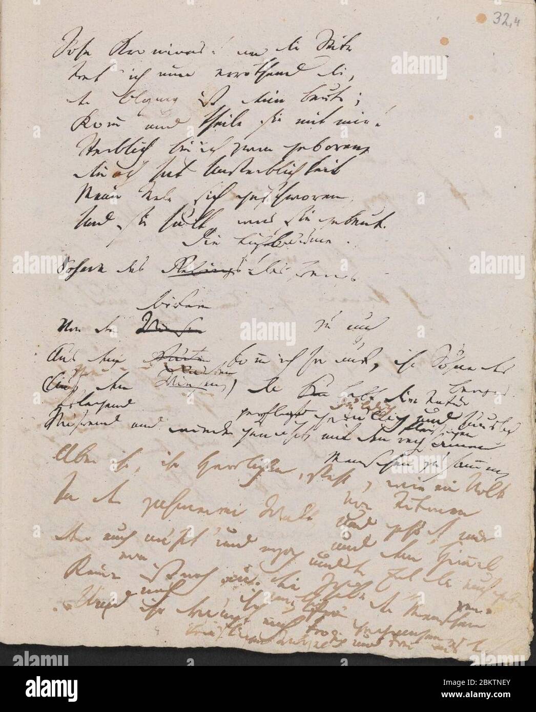 Eichbaume hi-res stock photography and images - Alamy