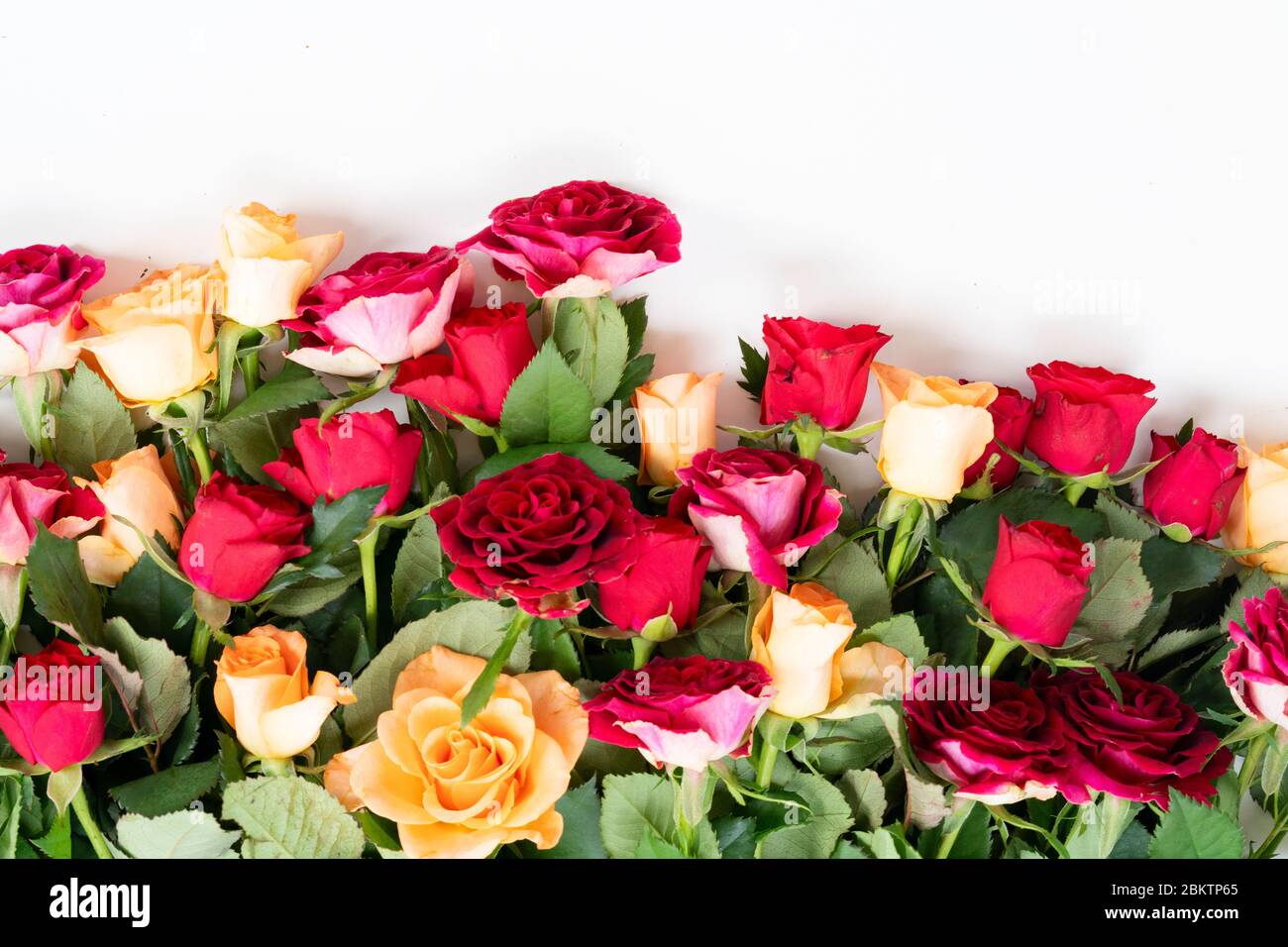 orange and red roses Stock Photo - Alamy