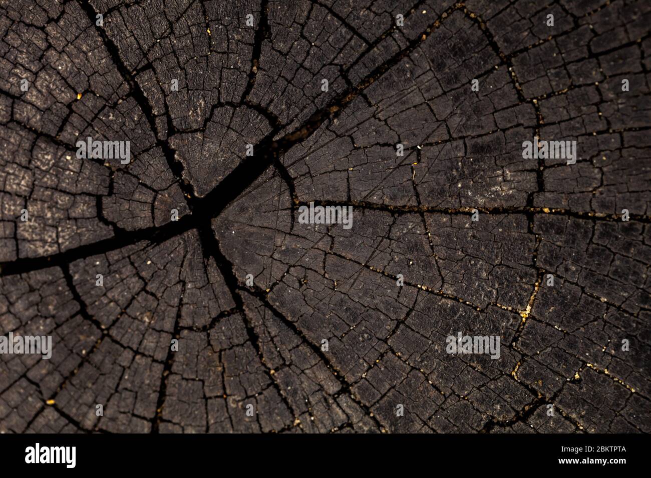 wood texture rust board Stock Photo - Alamy