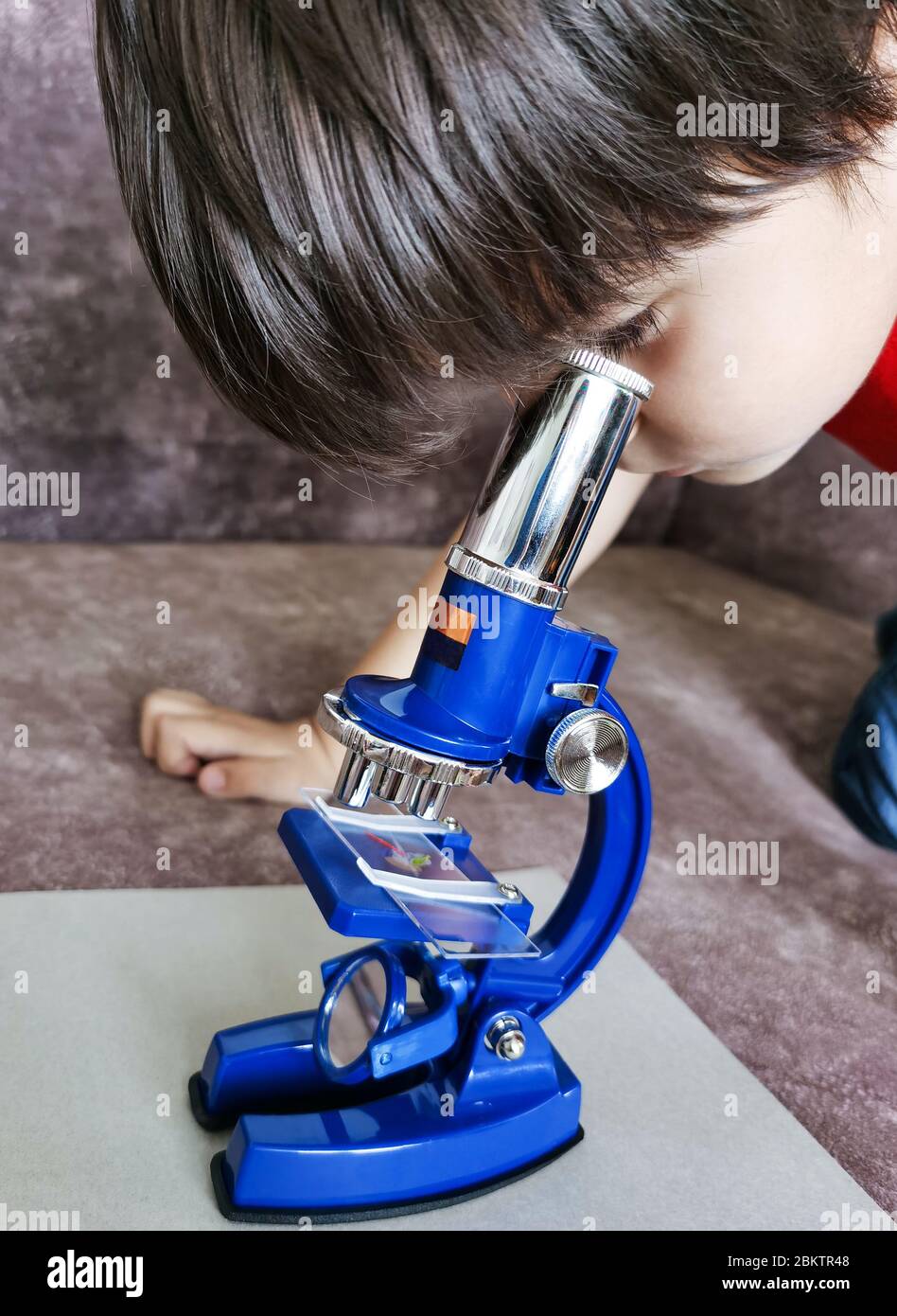 Little boy looking through microscope. Online science lesson. Home ...