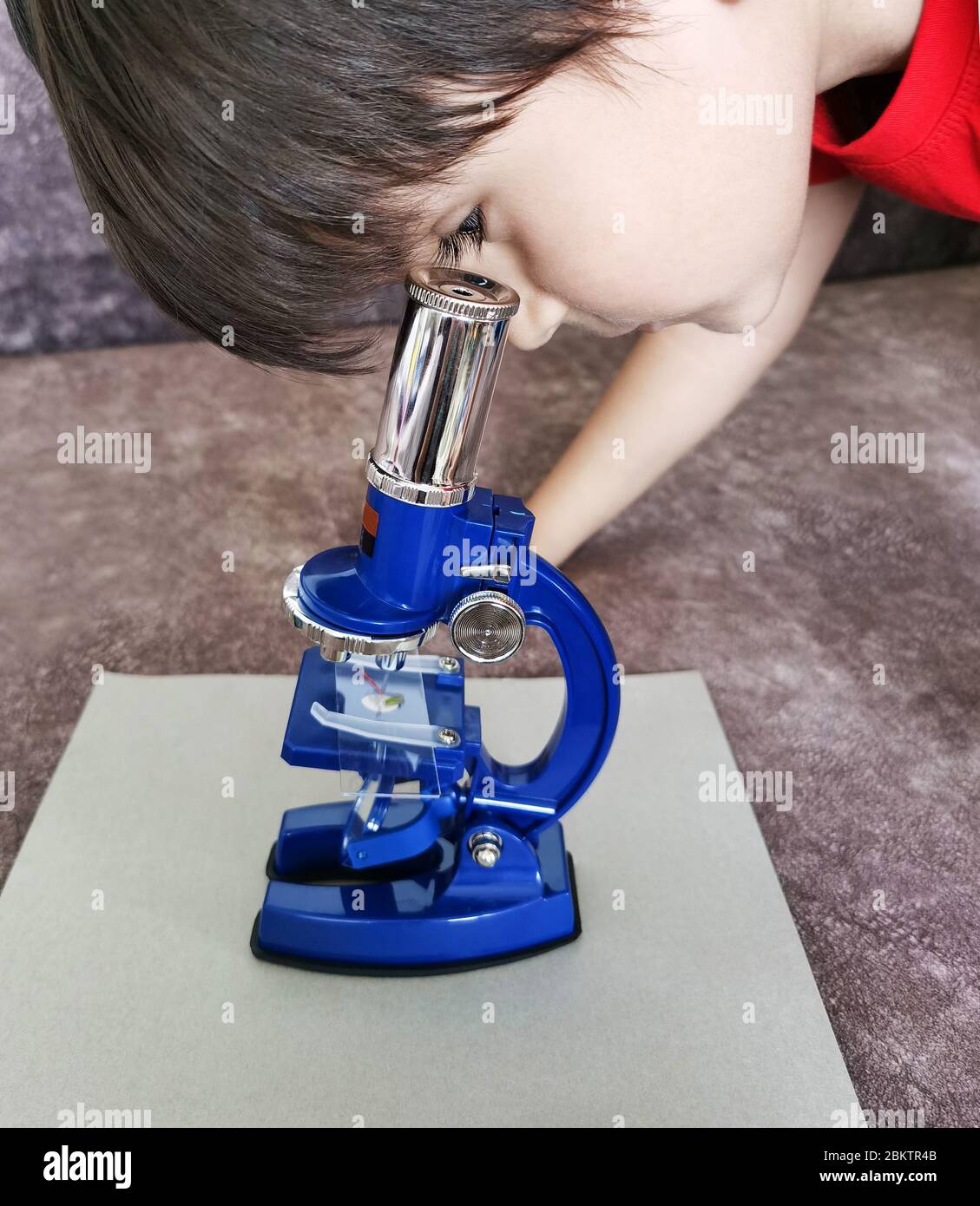 Little boy examining something looking through a microscope. Home-based ...