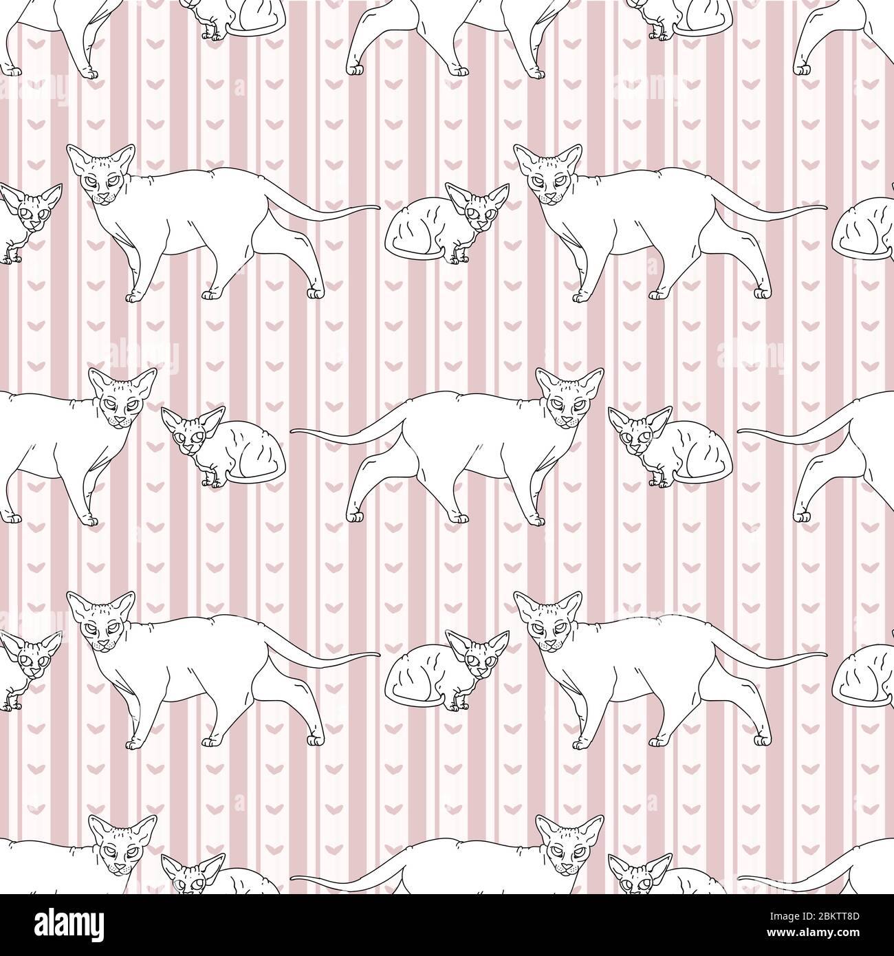 Cute cartoon monochrome sphynx cat and kitten seamless vector pattern. Pedigree exotic kitty ...