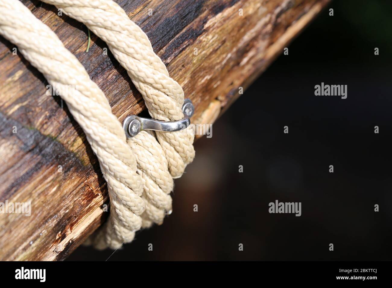 Rope around tree hi-res stock photography and images - Alamy