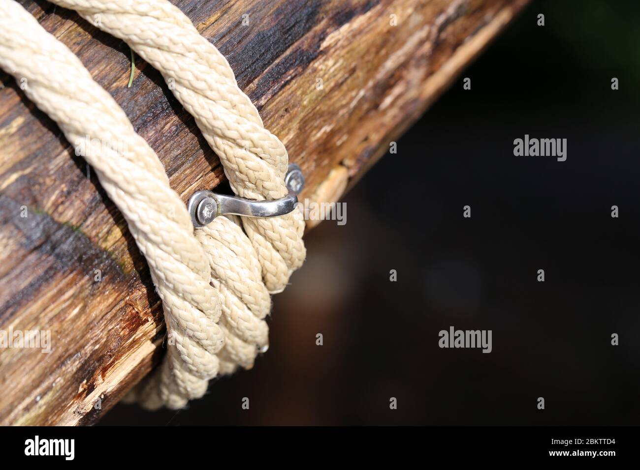 Rope around tree hi-res stock photography and images - Alamy
