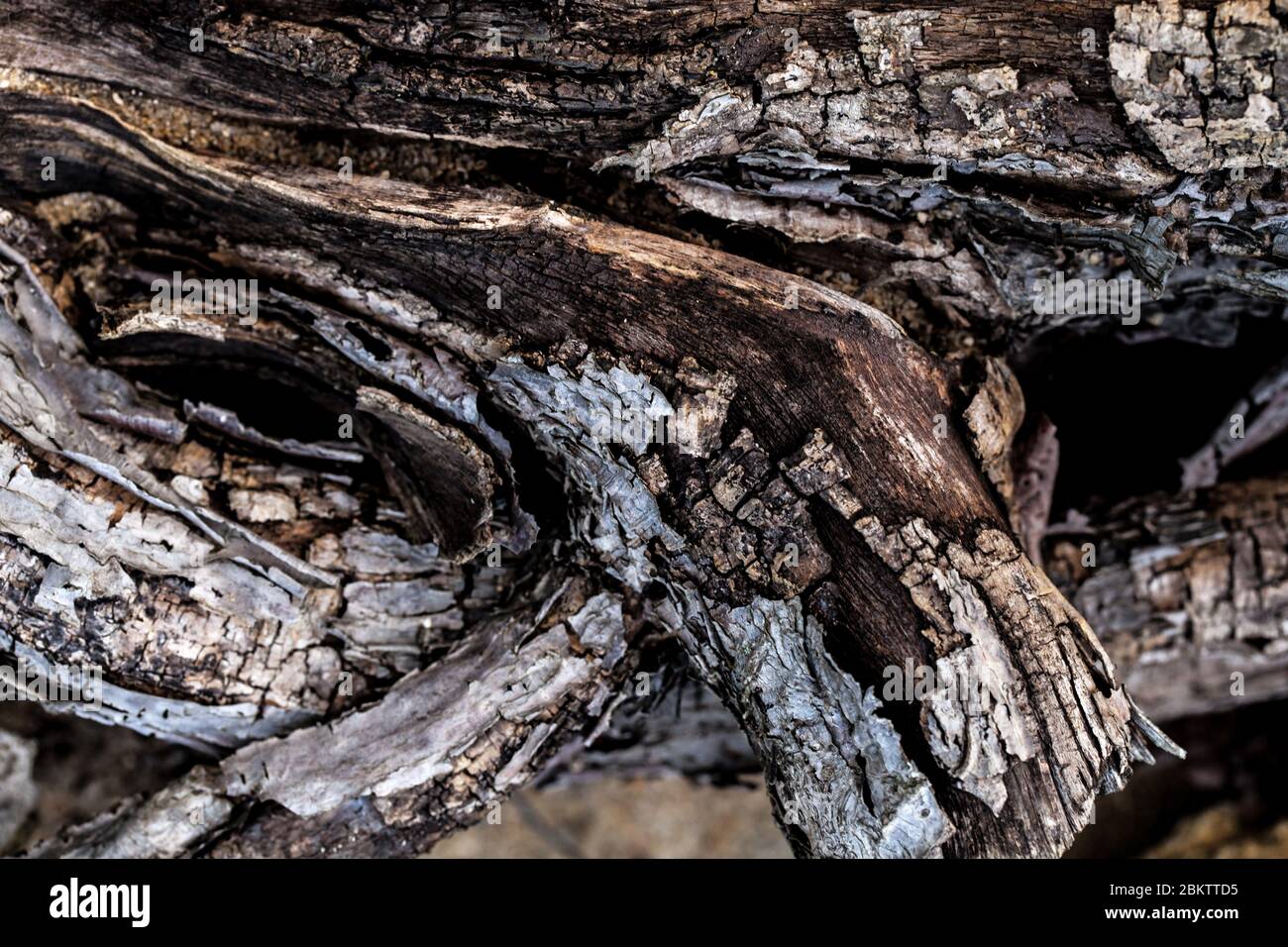 wood texture rust board Stock Photo - Alamy