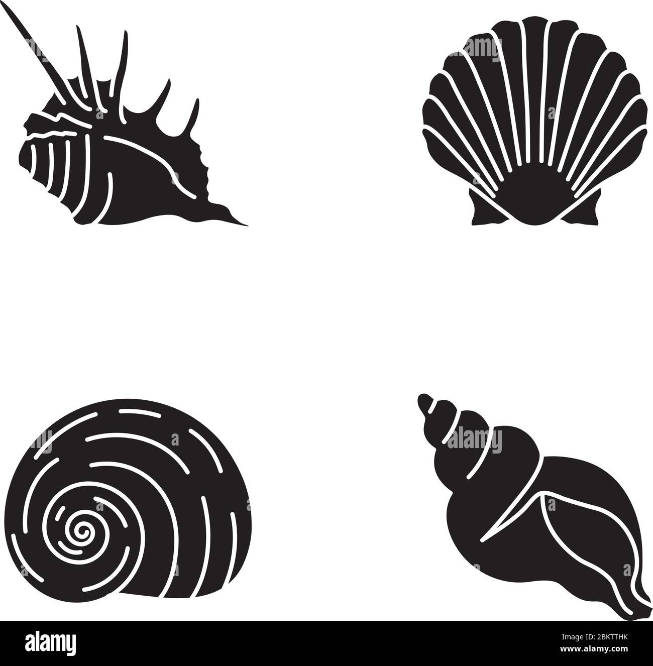Exotic sea shells black glyph icons set on white space Stock Vector ...