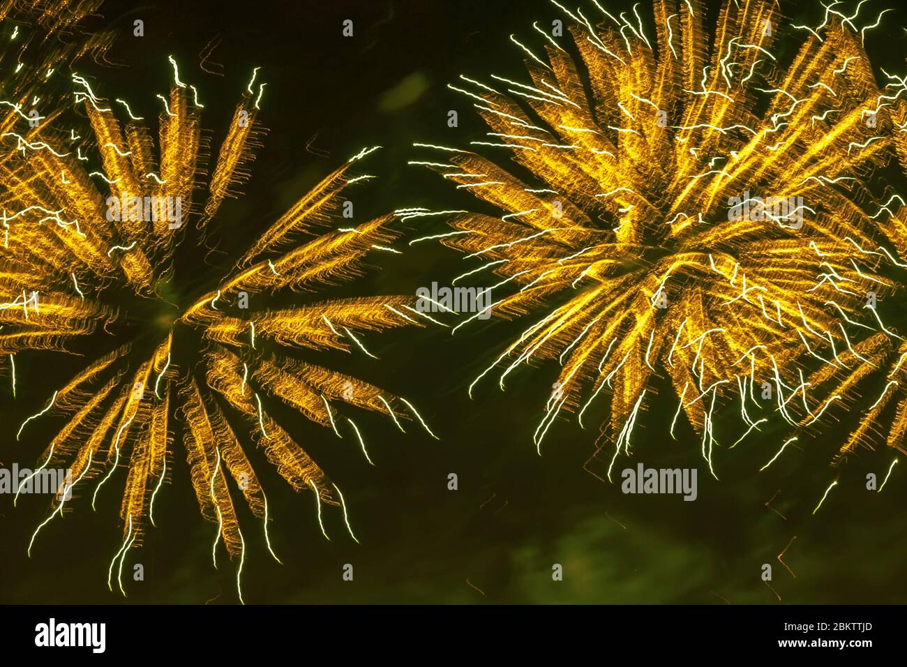 Bright colorful firework as huge exotic flowers , multicolored glowing ...