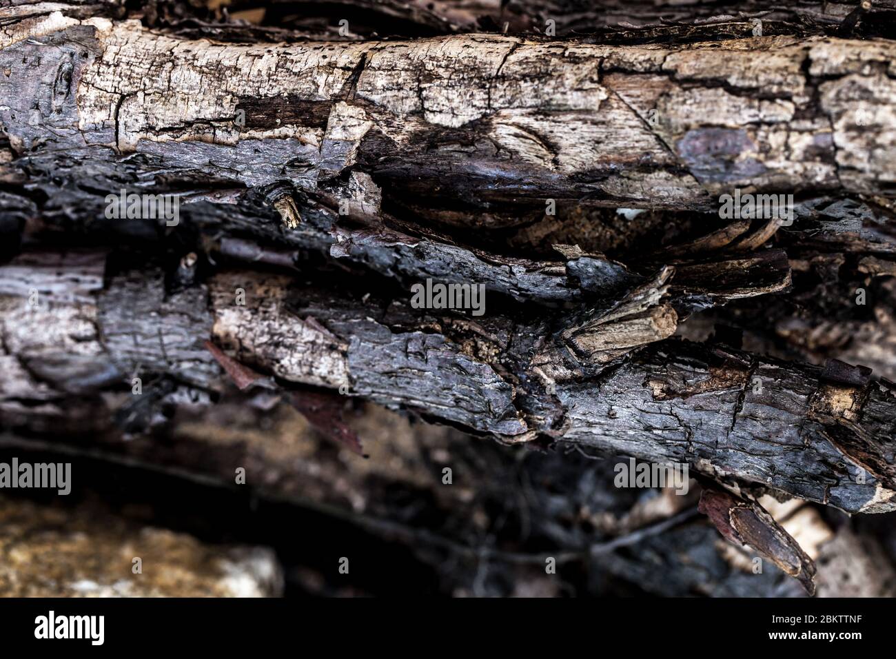 wood texture rust board Stock Photo - Alamy