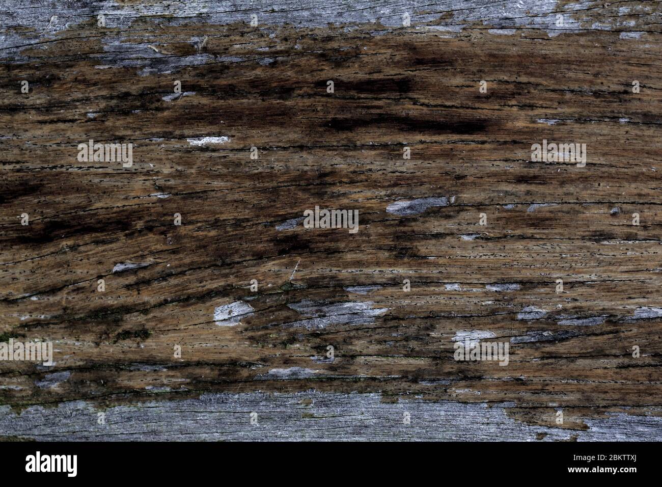 wood texture rust board Stock Photo - Alamy