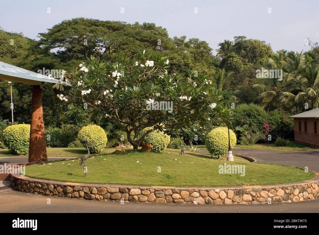 Park in North Goa. India Stock Photo - Alamy