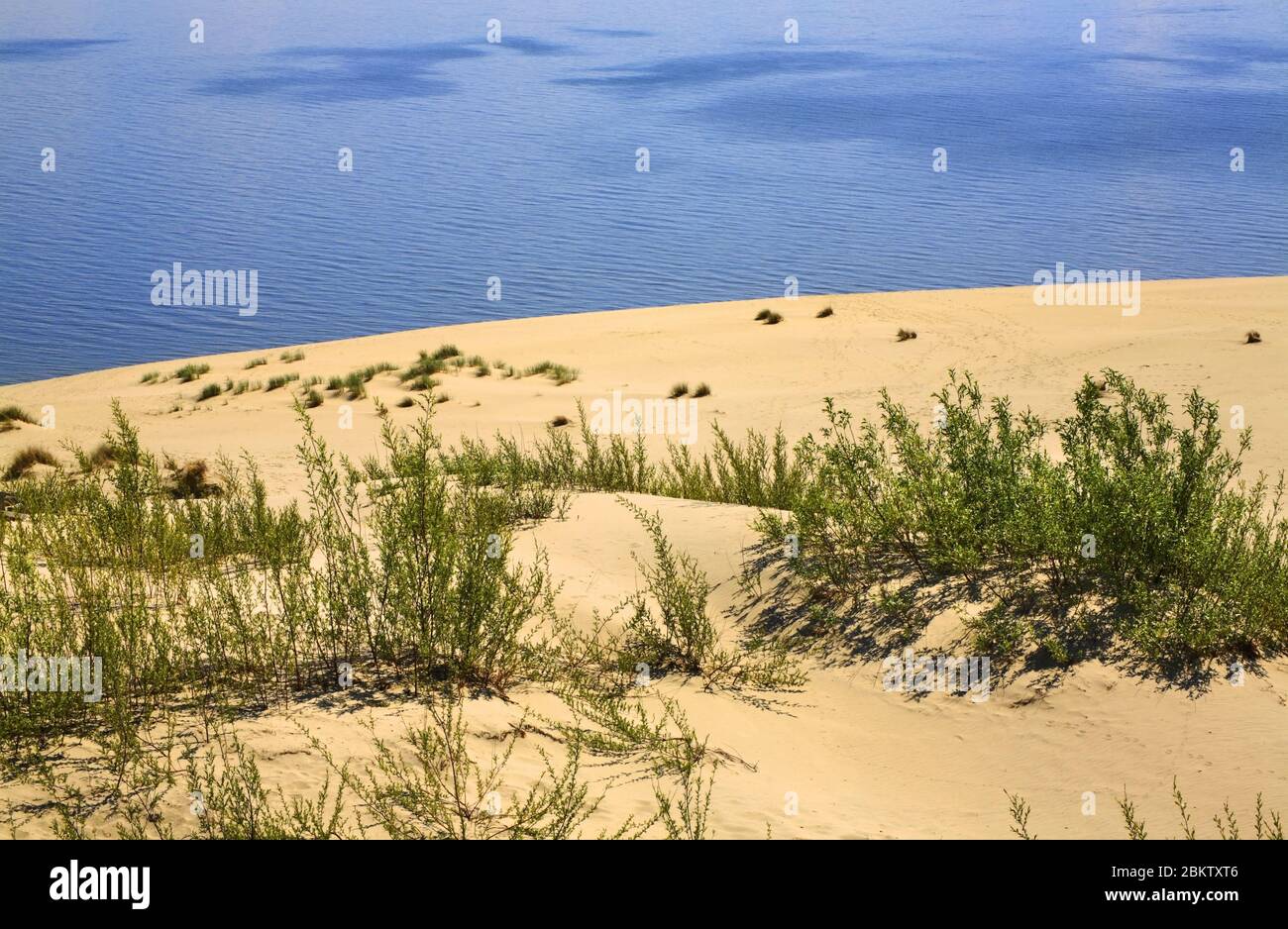 View of Curonian Spit. Kaliningrad Oblast. Russia Stock Photo - Alamy