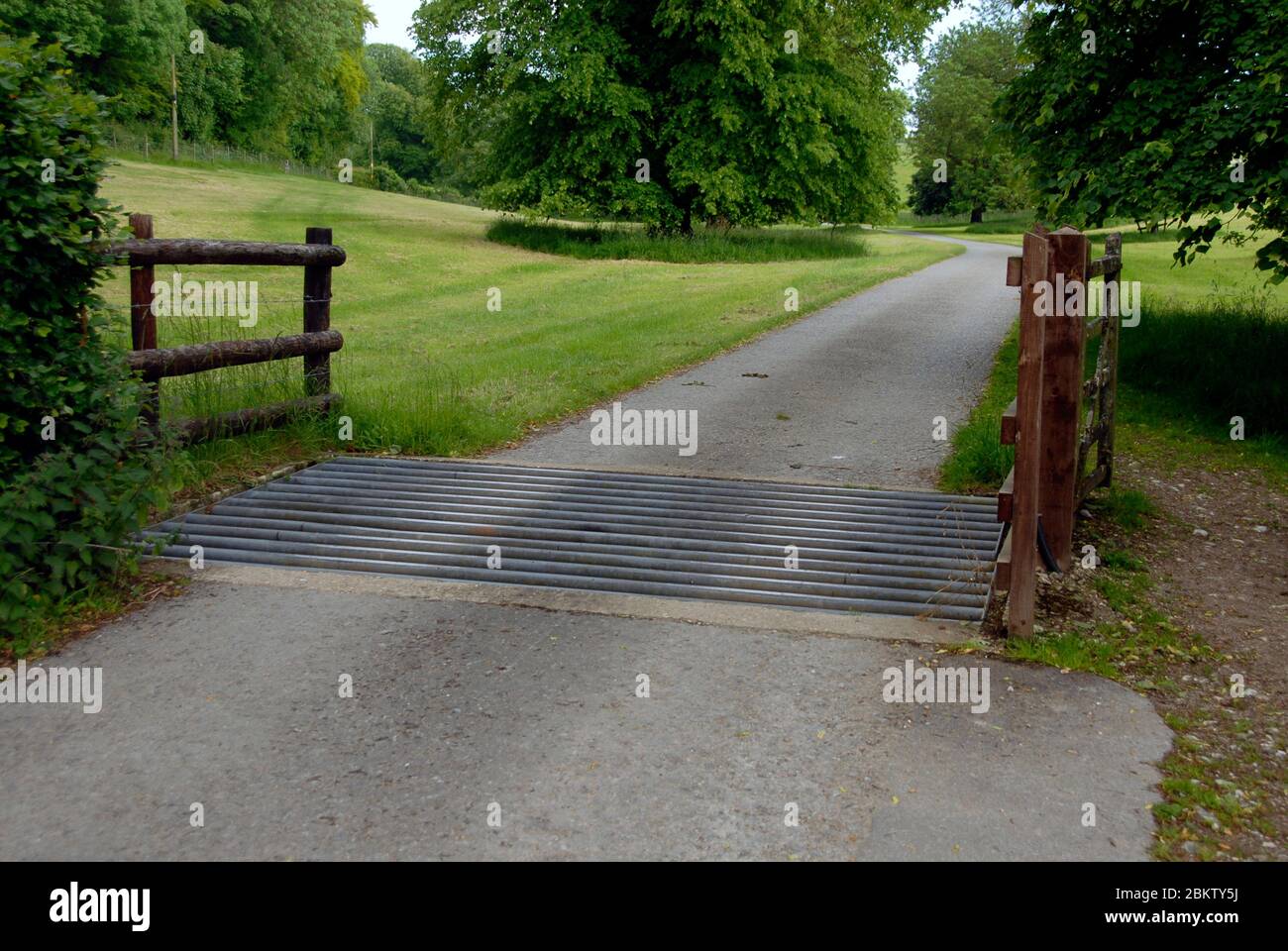 Cattle grid, on private road, to prevent cattle crossing, although in ...