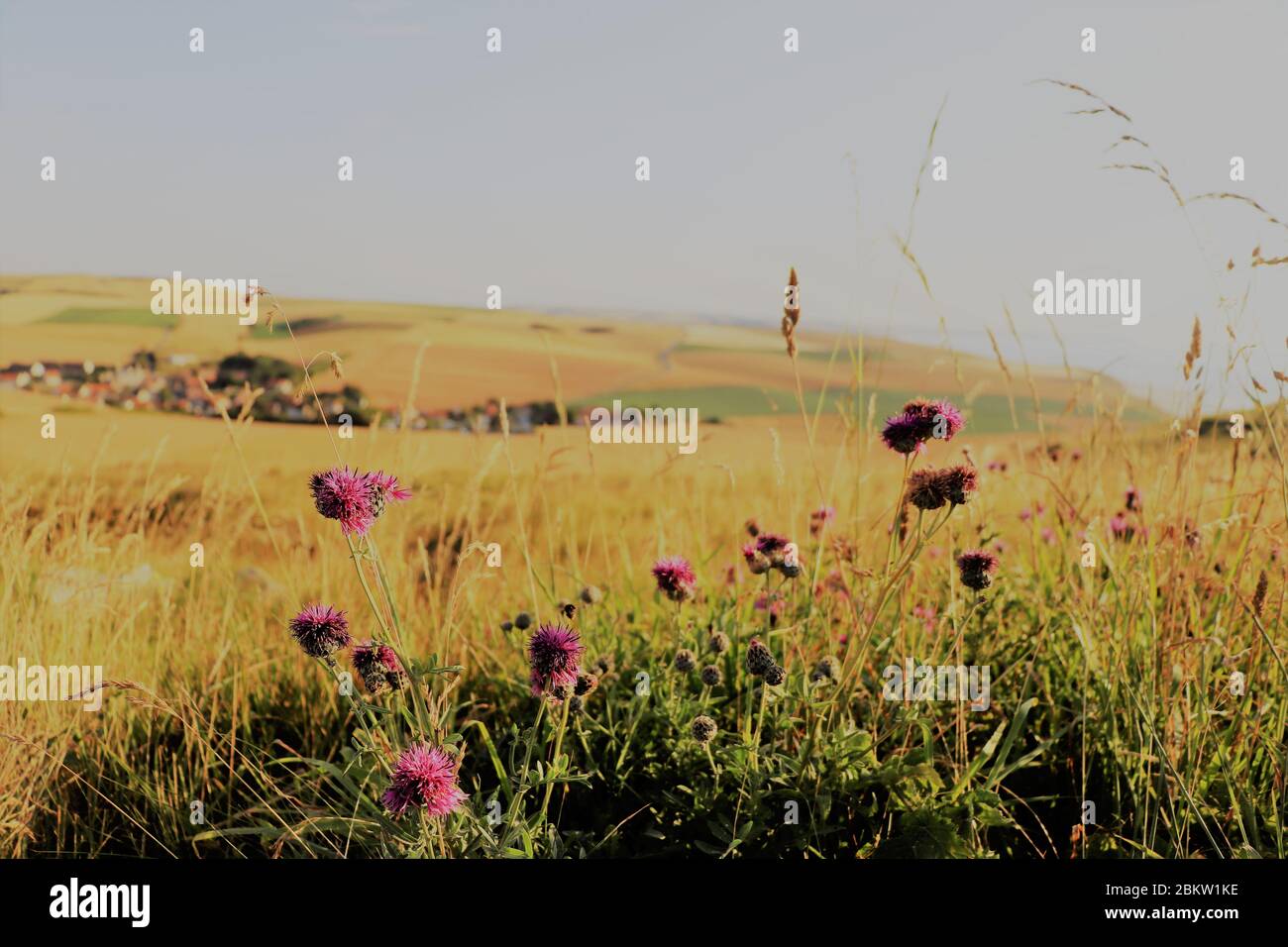 The French Countryside and Coastline Along the English Channel at Cap ...