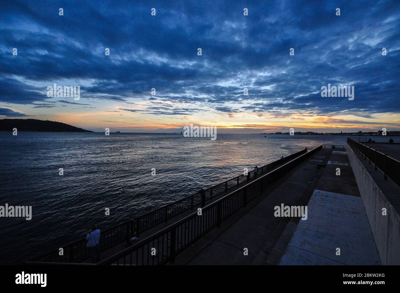 Kobe earthquake tree hi-res stock photography and images - Alamy