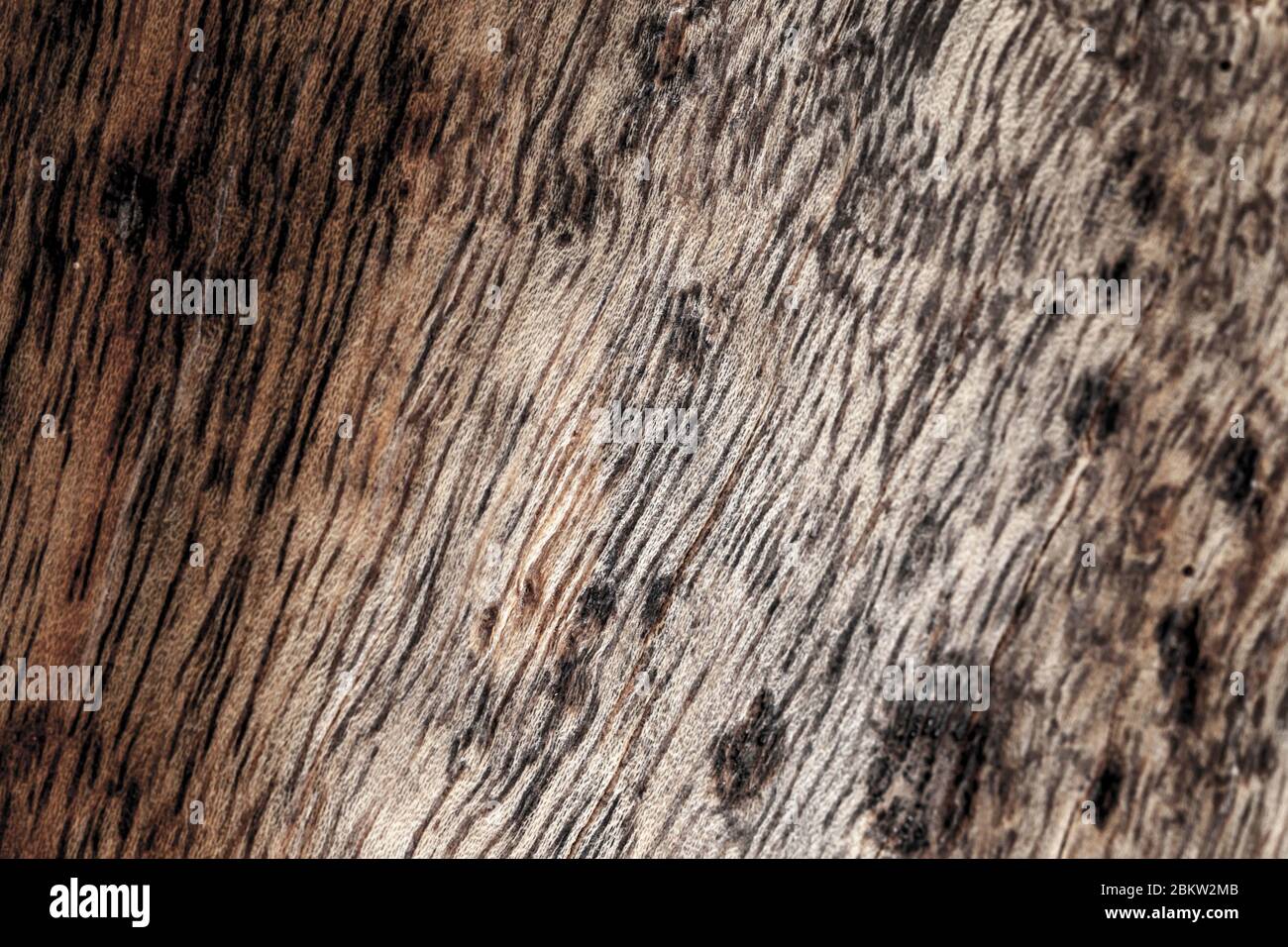 wood texture rust board Stock Photo - Alamy