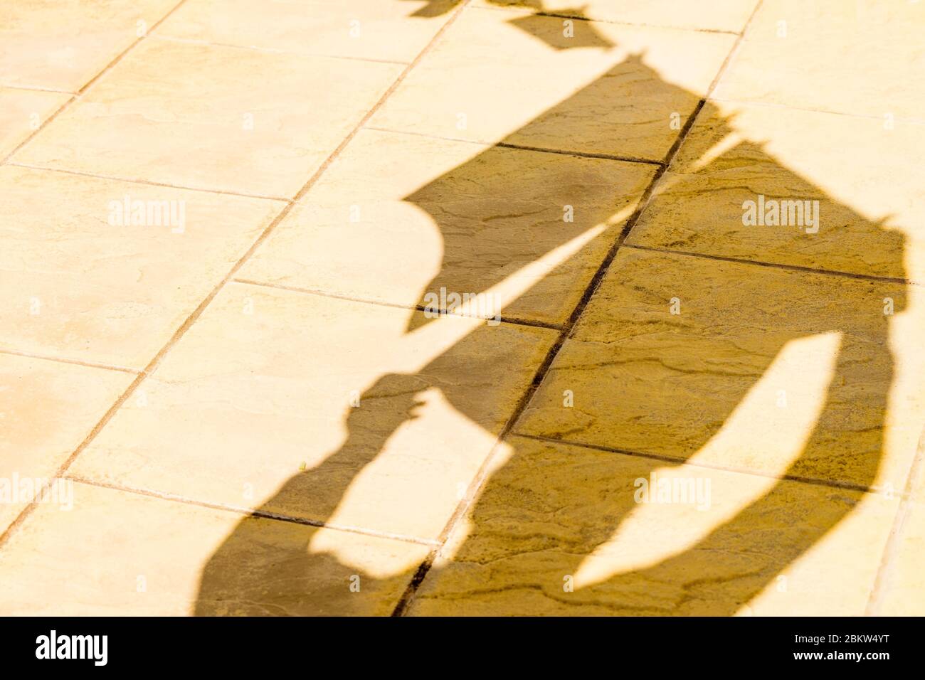 Sunlight shadow of man hang the clothes washing line at the garden ...