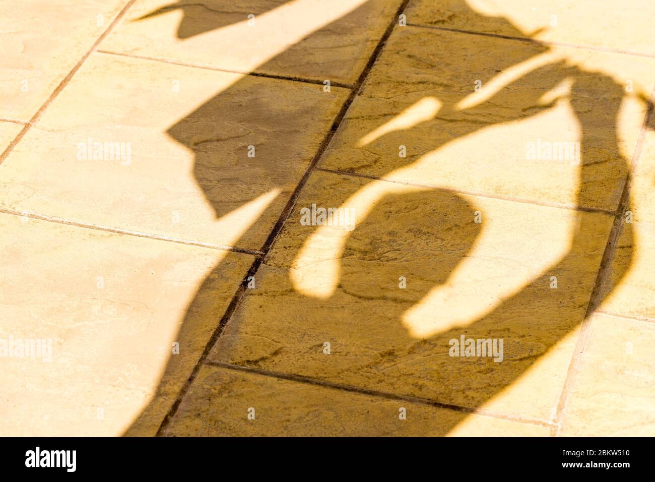 Sunlight shadow of man hang the clothes washing line at the garden ...